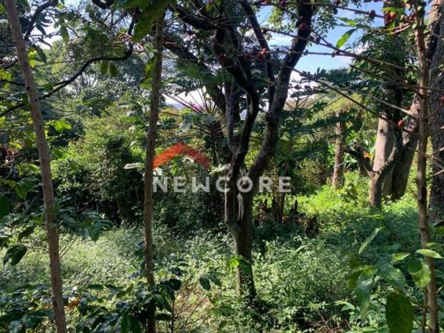 Lote em Avenida Maria José Vasconcellos Mankel Vila Clarice São Paulo/SP
