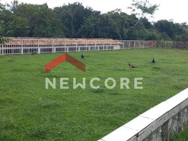 Lote em Avenida Nicolau Abrão Setor Central Catalão/GO