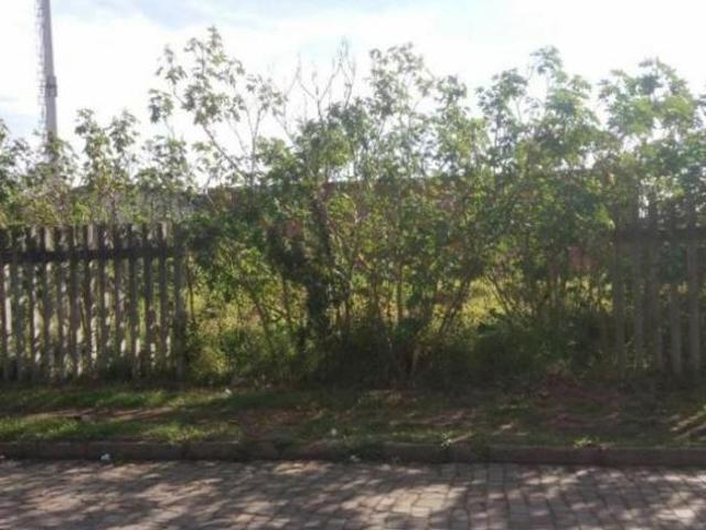 Lote em Avenida Palmira Gobbi Humaitá Porto Alegre/RS