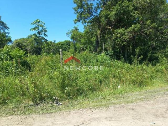 Lote em Avenida Paraná Jardim Coronel Itanhaém/SP