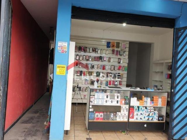 Lote em Avenida Teodoro Bernardo do Nascimento Jardim Robru São Paulo/SP