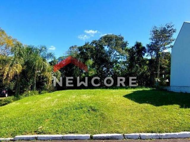 Lote em Avenida Vicente Monteggia Cavalhada Porto Alegre/RS