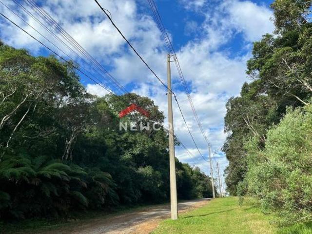 Lote em Avenida Ximangos Colinas São Francisco de Paula/RS