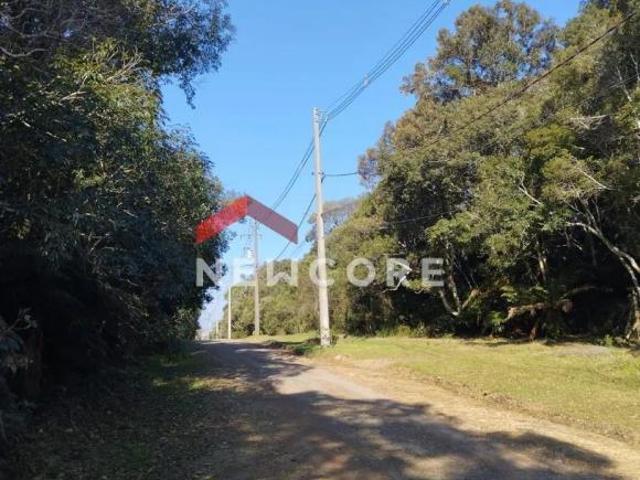 Lote em Avenida Ximangos Colinas São Francisco de Paula/RS