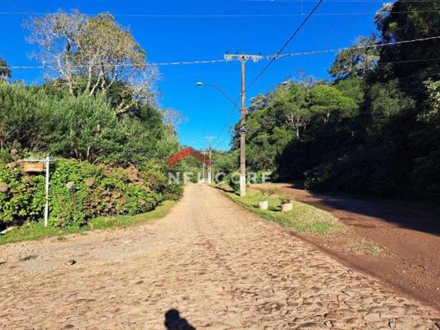 Lote em Avenida Ximangos Colinas São Francisco de Paula/RS
