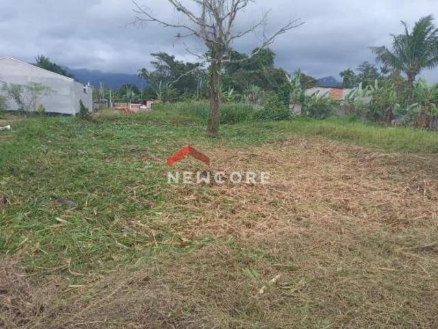 Lote em Alameda Alfredo Carlos Rokita Balneário dos Golfinhos Caraguatatuba/SP