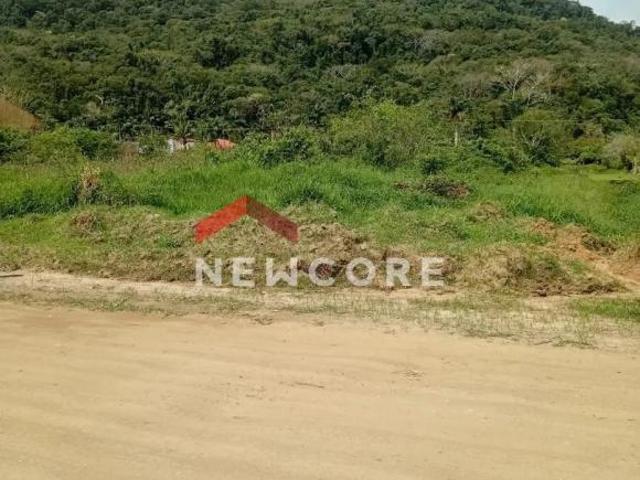 Lote em Alameda do Azulão Manacá dos Itatins Peruíbe/SP
