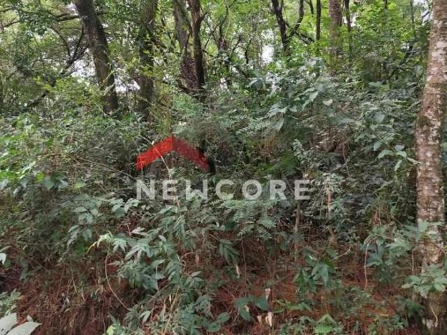 Lote em Alameda São Paulo San Fernando Valley Atibaia/SP