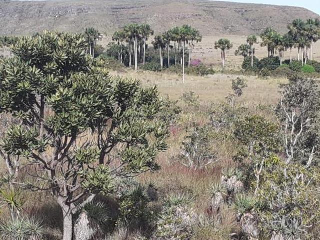 LOTE EM ALTO PARAISO DE GOIÁS A 05 KM DE ASFALTO LINDA VOSTA COM 40.000 mil m2!