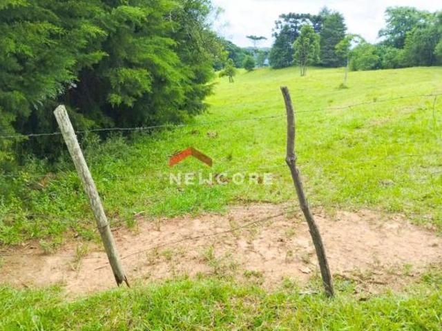 Lote em Área ideal para Resgate de Carbono Perímetro 2.099 m Balsa Nova/PR