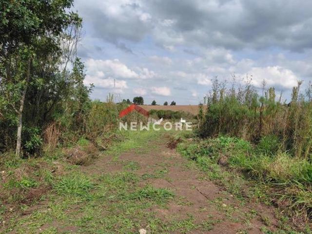 Lote em Área Rural Campina do Taquaral São José dos Pinhais/PR