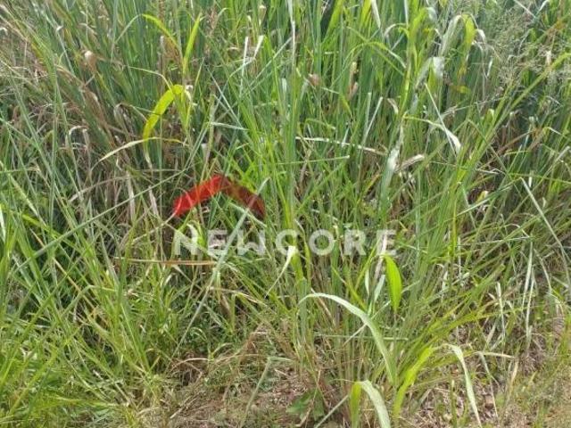 Lote em Área Rural Área Rural de Rio Claro Rio Claro/SP