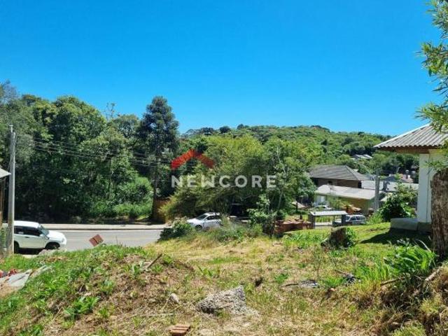 Lote em Beco do Bambuzinho Leodoro Azevedo Canela/RS