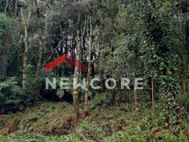 Lote em Beco da Avenca Leodoro de Azevedo Canela/RS