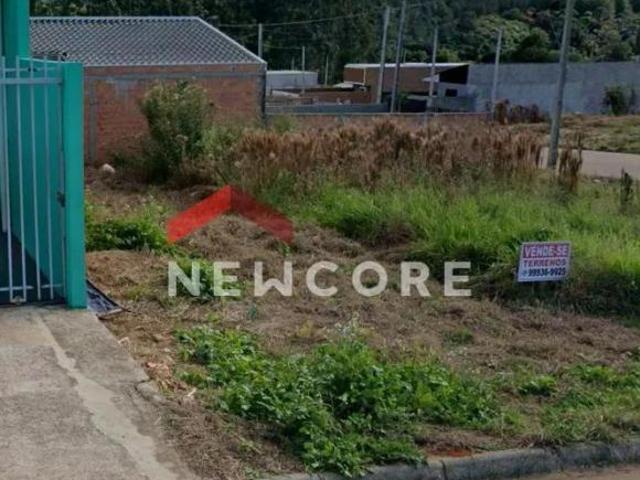 Lote em Camila Napoli Madureira Colônia Dona Luíza Ponta Grossa/PR