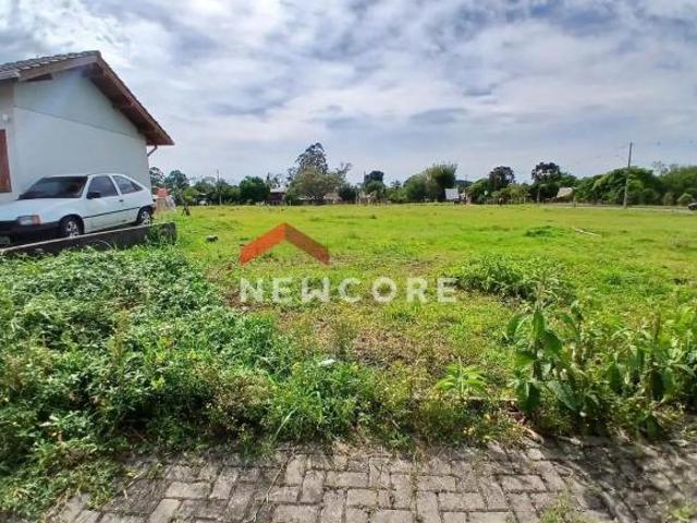Lote em Cerro Alto Fazenda Pires Parobé/RS