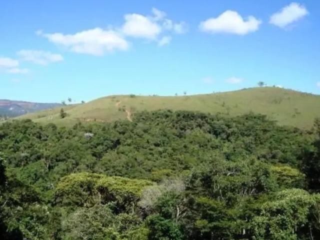 Lote em condomínio fechado Venda Nova Lima