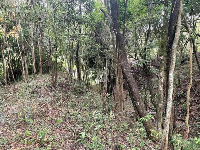 Lote em Condomínio à venda, Ipê Amarelo Esmeraldas/MG