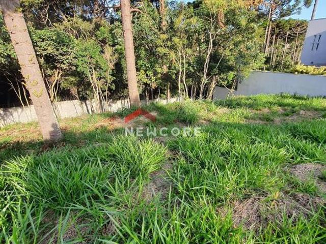 Lote em condomínio em Alameda Mário Quintana Moinho Velho Cotia/SP