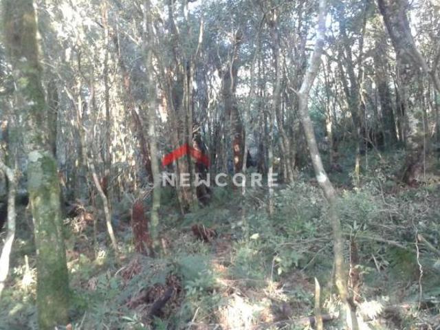 Lote em condomínio em Av A Colinas São Francisco de Paula/RS