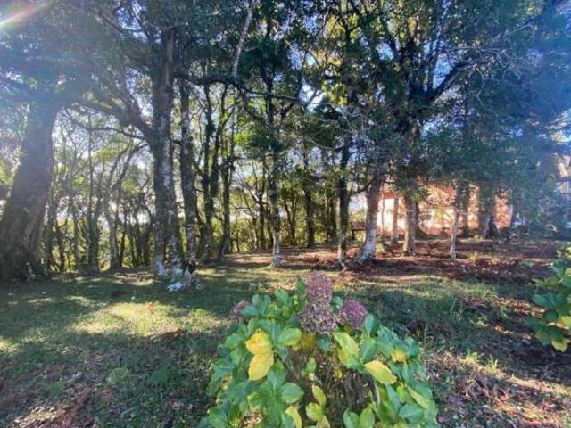 Lote em condomínio em Av Borges de Medeiros Mato Queimado Gramado/RS