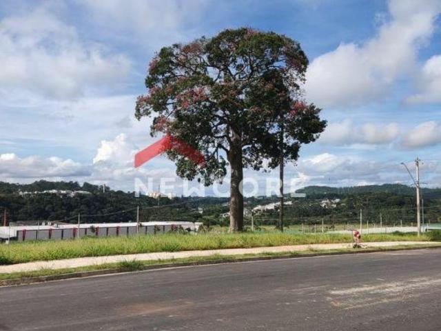 Lote em condomínio em Avenida Dom Paulo Rolim Loureiro Vila Oliveira Mogi das Cruzes/SP
