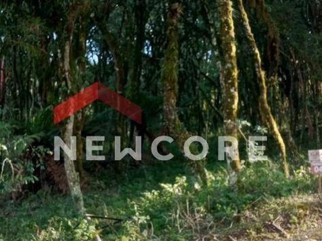 Lote em condomínio em ERS 466 Bosque sinoserra Canela/RS
