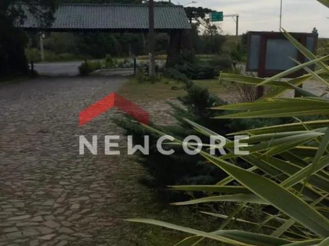 Lote em condomínio em Rua Angico Colinas São Francisco de Paula/RS