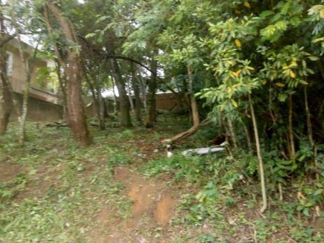 Lote em condomínio em Rua das Dracenas Chácara Moinho Velho Carapicuíba/SP