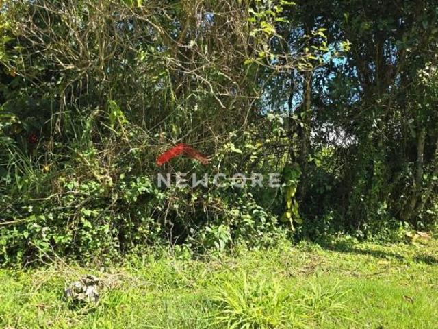 Lote em condomínio em Rua Quinze Jardim São Luis Peruíbe/SP