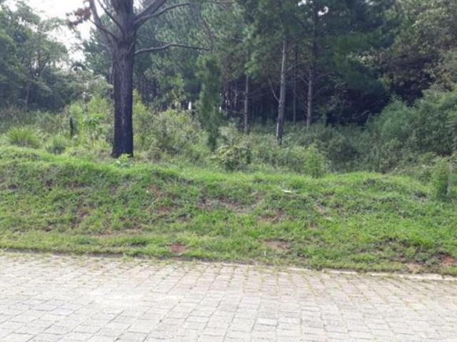Lote em condomínio em Rua Rio Grande do Sul Gramado Cotia/SP