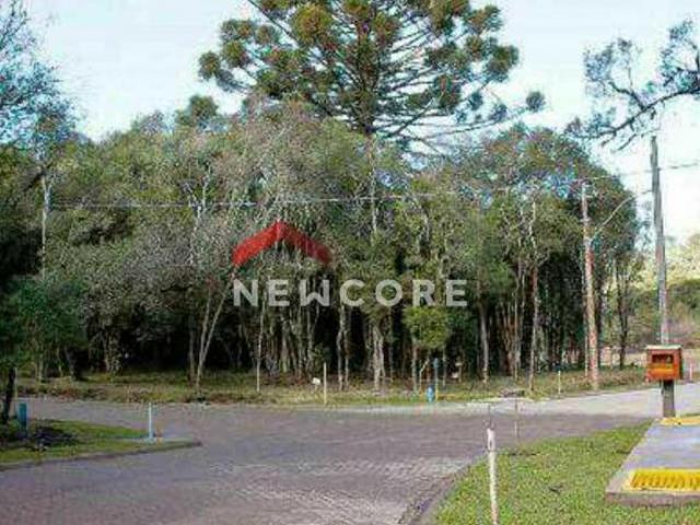 Lote em condomínio em Rua 3 Lote c 07 Bosque sinoserra Canela/RS