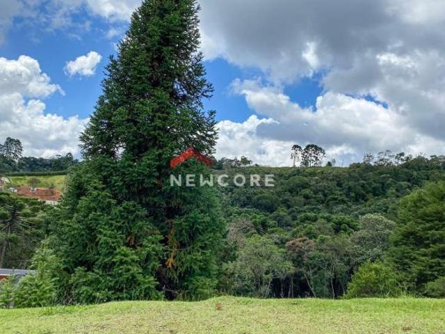 Lote em condomínio em Vila Isabel Alto do Capivari Campos do Jordão/SP