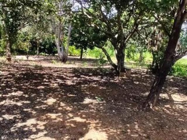 Lote em Condomínio Fechado para Venda em Jaboticatubas, Condomínio Estância da Mata