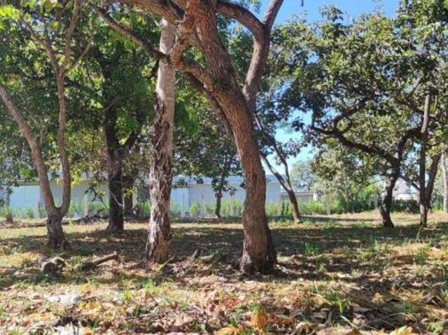 Lote em Condomínio Fechado para Venda em Lagoa Santa, Condomínio Veredas da Lagoa