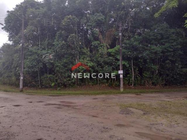 Lote em Condomínio São Luiz São Luiz Peruíbe/SP