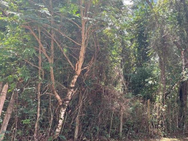 Lote em Condomínio para venda Condomínio Águas Claras Piedade do Paraopeba Brumadinho