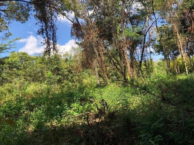 Lote em Condomínio para Venda Condominio Quinta das Esmeraldas, Esmeraldas
