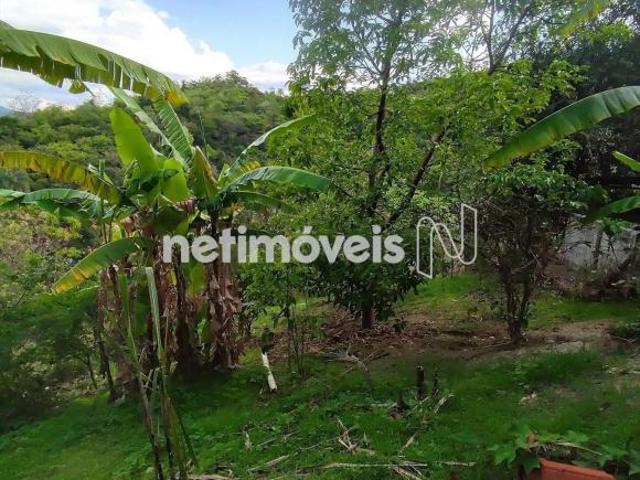 Lote em Declive com Vista Permanente no Vale do Tamanduá