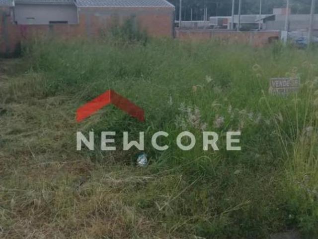 Lote em Elzira Noveleto Colônia Dona Luíza Ponta Grossa/PR