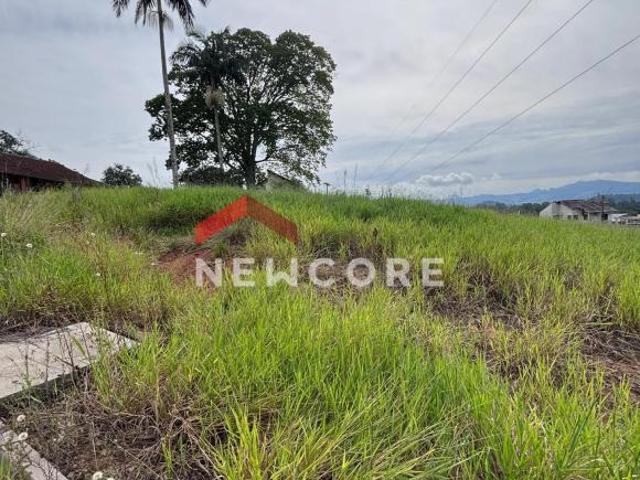 Lote em Ervino Lehnen 15 de Junho Parobé/RS
