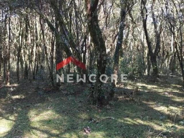 Lote em Est Bracatinga Contendas São Francisco de Paula/RS