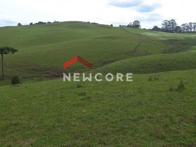 Lote em Est do Blang Interior Zona Rural São Francisco de Paula/RS