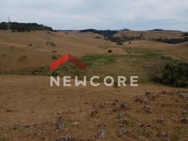 Lote em Est Lageado Grande Lageado Grande São Francisco de Paula/RS