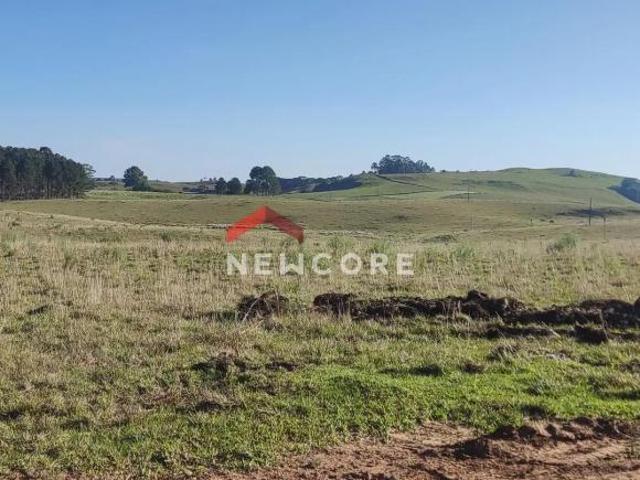 Lote em Est Pai Bitu Eletra São Francisco de Paula/RS