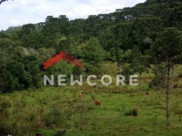 Lote em Est Rincão dos Kroeff Rincão do kroeff São Francisco de Paula/RS