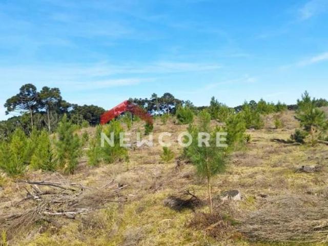 Lote em Estrada Boa Esperança Caconde São Francisco de Paula/RS