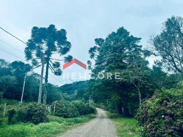 Lote em Estrada Geral Parque Suíço Parque Suíço São Francisco de Paula/RS