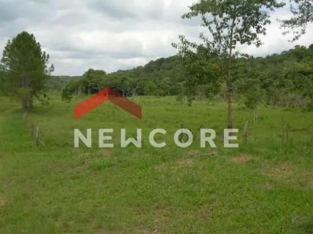 Lote em Estrada dos Fernandes Parque Santa Rosa Suzano/SP
