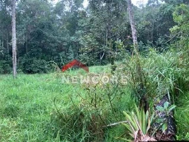 Lote em Estrada dos Hengles Palmeiras Itapecerica da Serra/SP